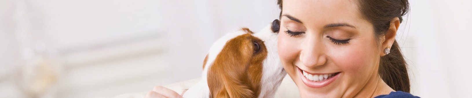 Microchipping | The Irish Kennel Club